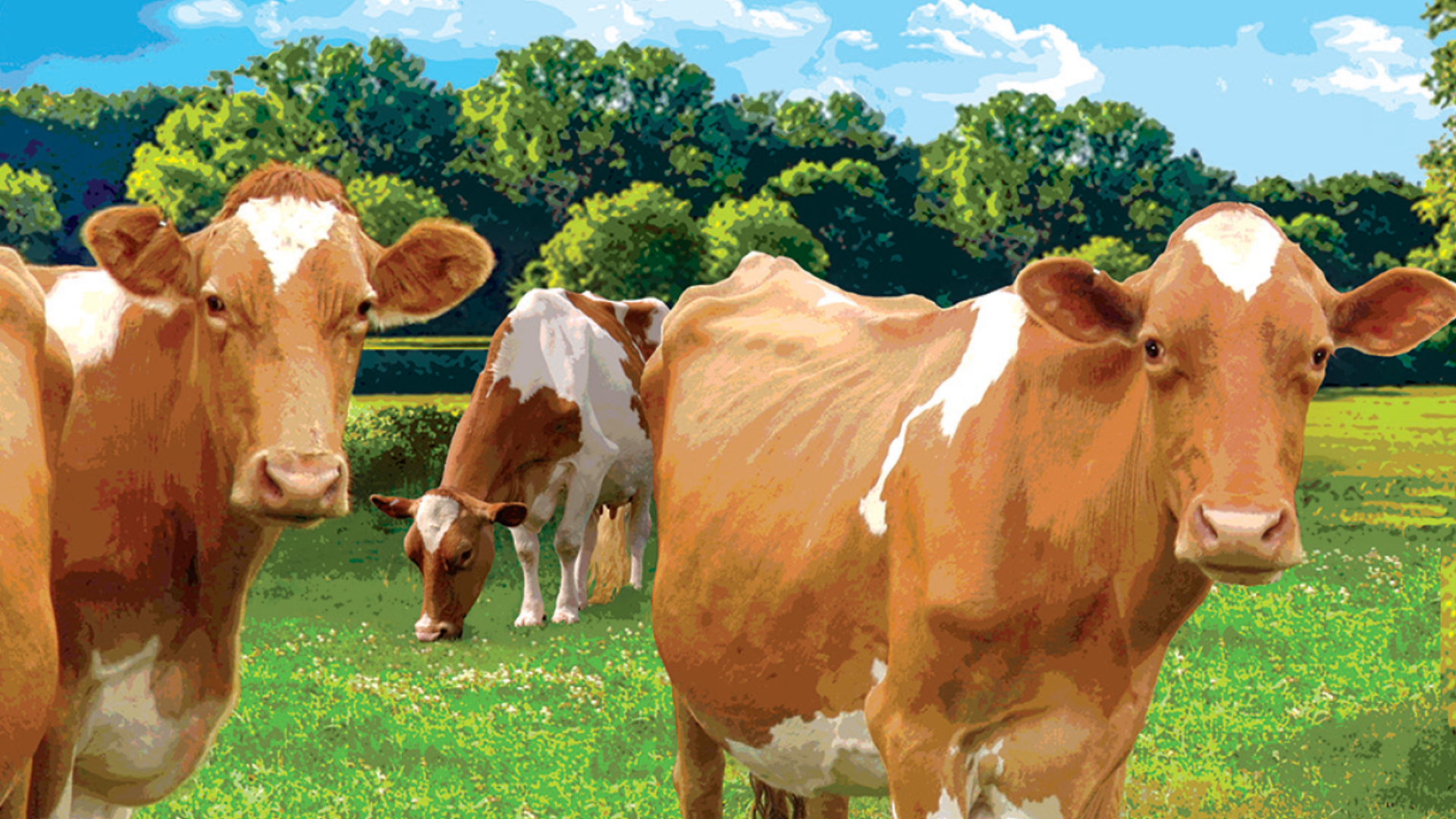 Royal Guernsey Creamery
